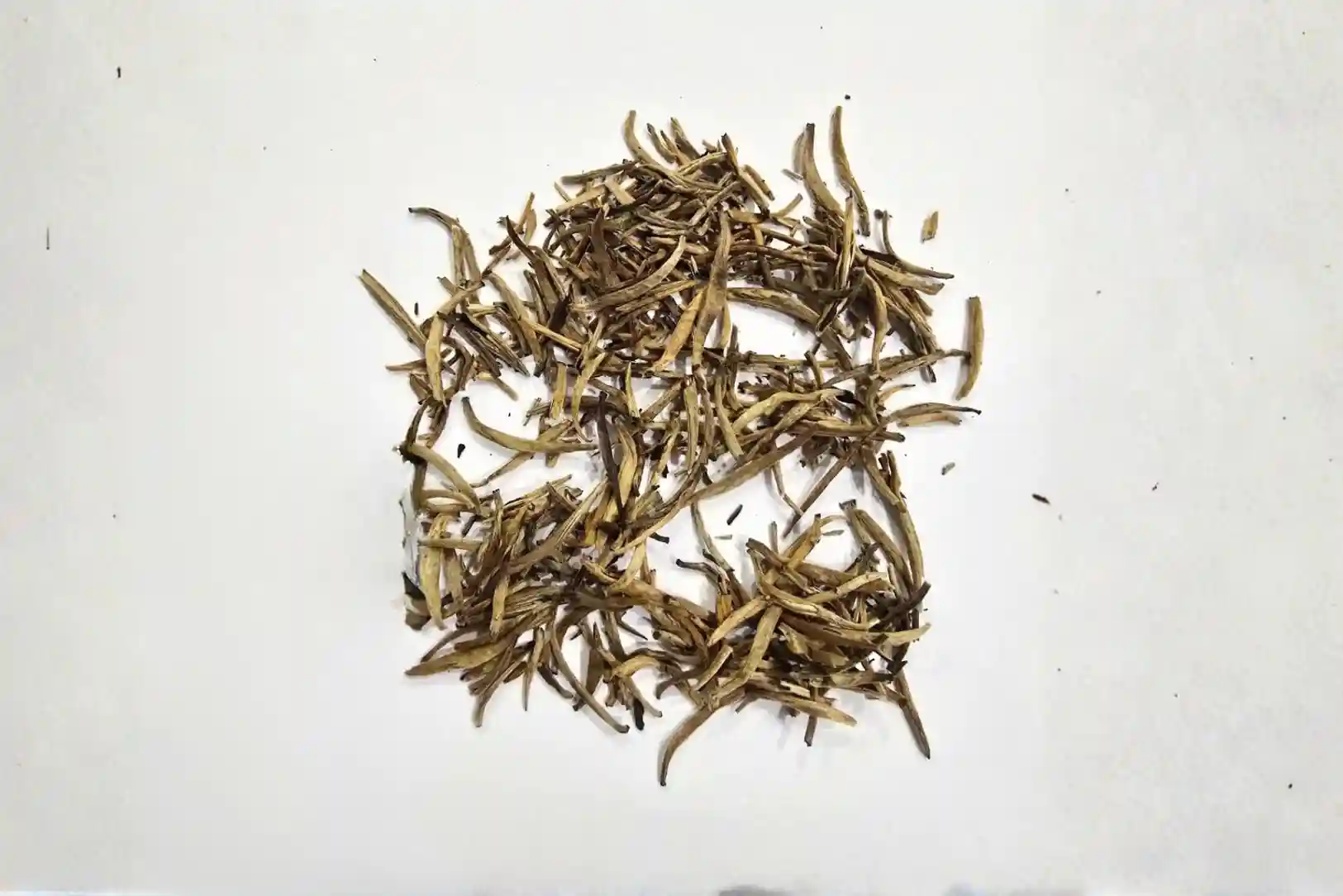 Somerfield Ceylon Golden Tips - Somerfield Tea Sri Lanka | Pure Ceylon Tea